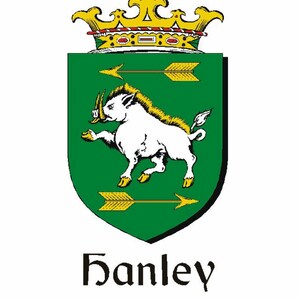 Hanley Irish Coat of Arms Gents Ring IC100 - Etsy