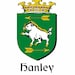 Hanley Irish Coat of Arms Gents Ring IC100 - Etsy