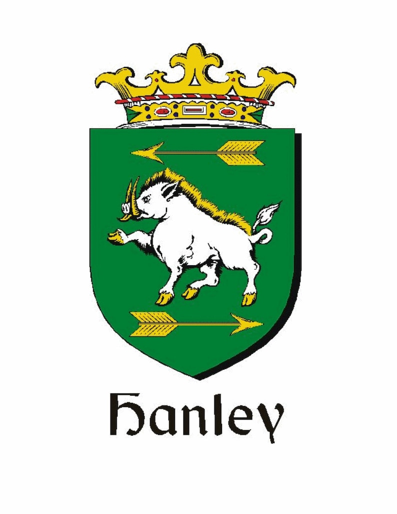 Hanley Irish Coat of Arms Gents Ring IC100 - Etsy