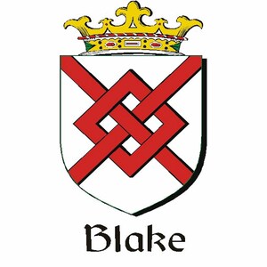 Blake Irish Coat of Arms Interlace Kilt Buckle - Etsy