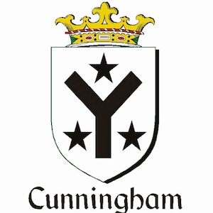 Cunningham Irish Coat of Arms Badge Stainless Steel Tankard - Etsy