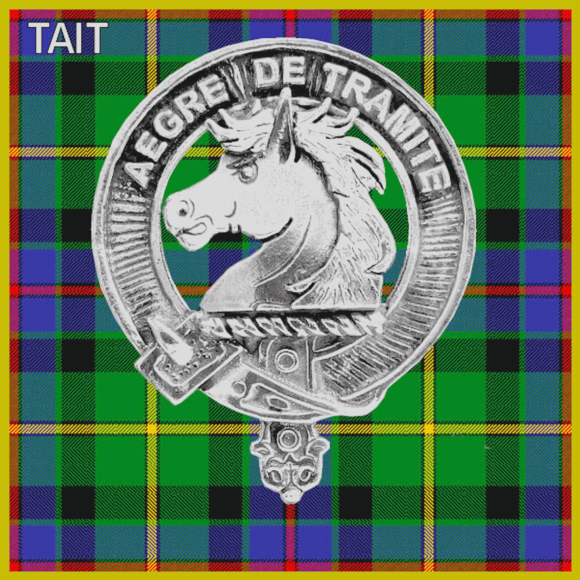 Tait Clan Badge Scottish Plaid Brooch - Etsy UK