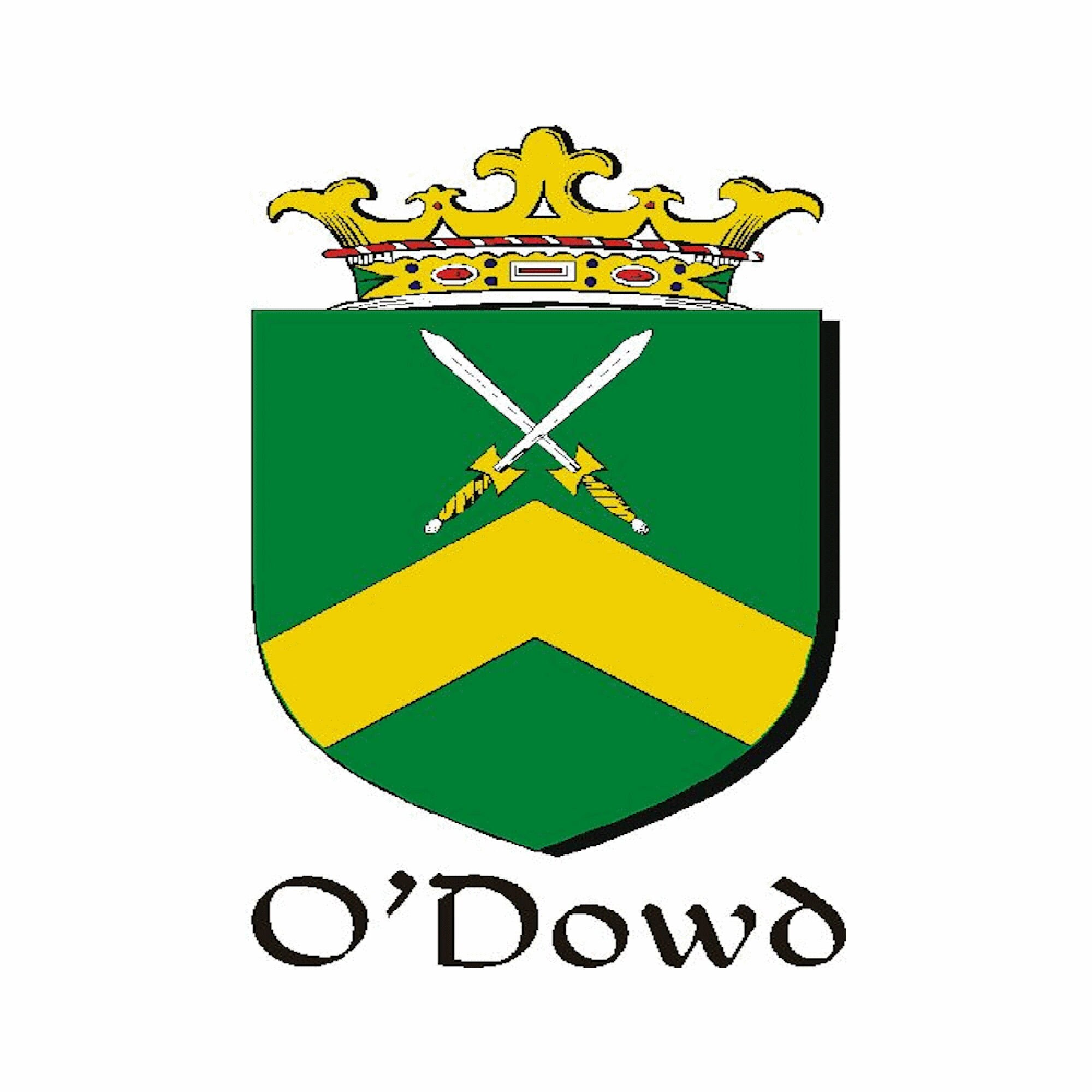 Dowd Irish Coat of Arms Regular Buckle - Etsy Canada