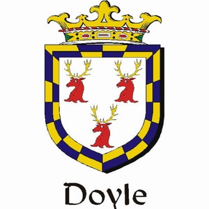 Doyle Irish Coat of Arms Interlace Kilt Buckle - Etsy