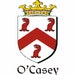 Casey Irish Coat of Arms Gents Ring IC100 - Etsy