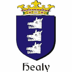 Healy Irish Coat of Arms Badge Stainless Steel Tankard - Etsy