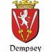 Dempsey Irish Family History - Etsy