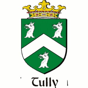 Tully Irish Coat of Arms Gents Ring IC100 - Etsy