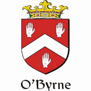 O'byrne Irish Coat of Arms Badge Stainless Steel Tankard - Etsy