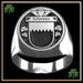 Powers Irish Coat of Arms Gents Ring IC100 - Etsy