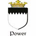 Powers Irish Coat of Arms Gents Ring IC100 - Etsy
