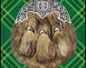 Shaw Coat of Arms - Etsy