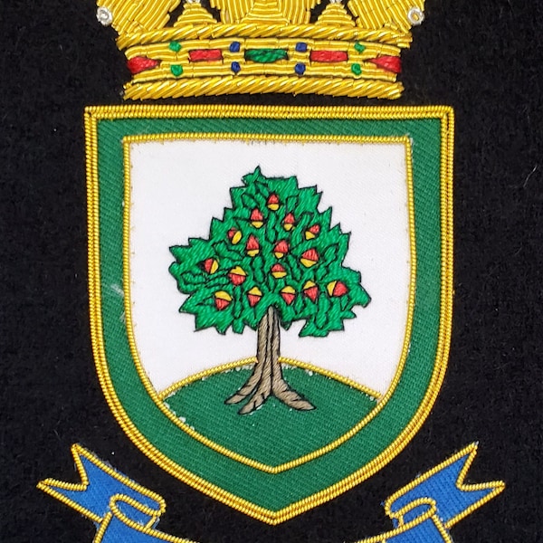 Irish Coat of Arms Patch - Etsy