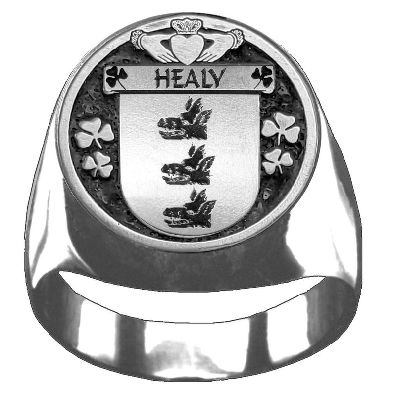 Healy Irish Coat of Arms Gents Ring IC100 - Etsy