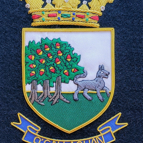 Irish Coat of Arms Patch - Etsy