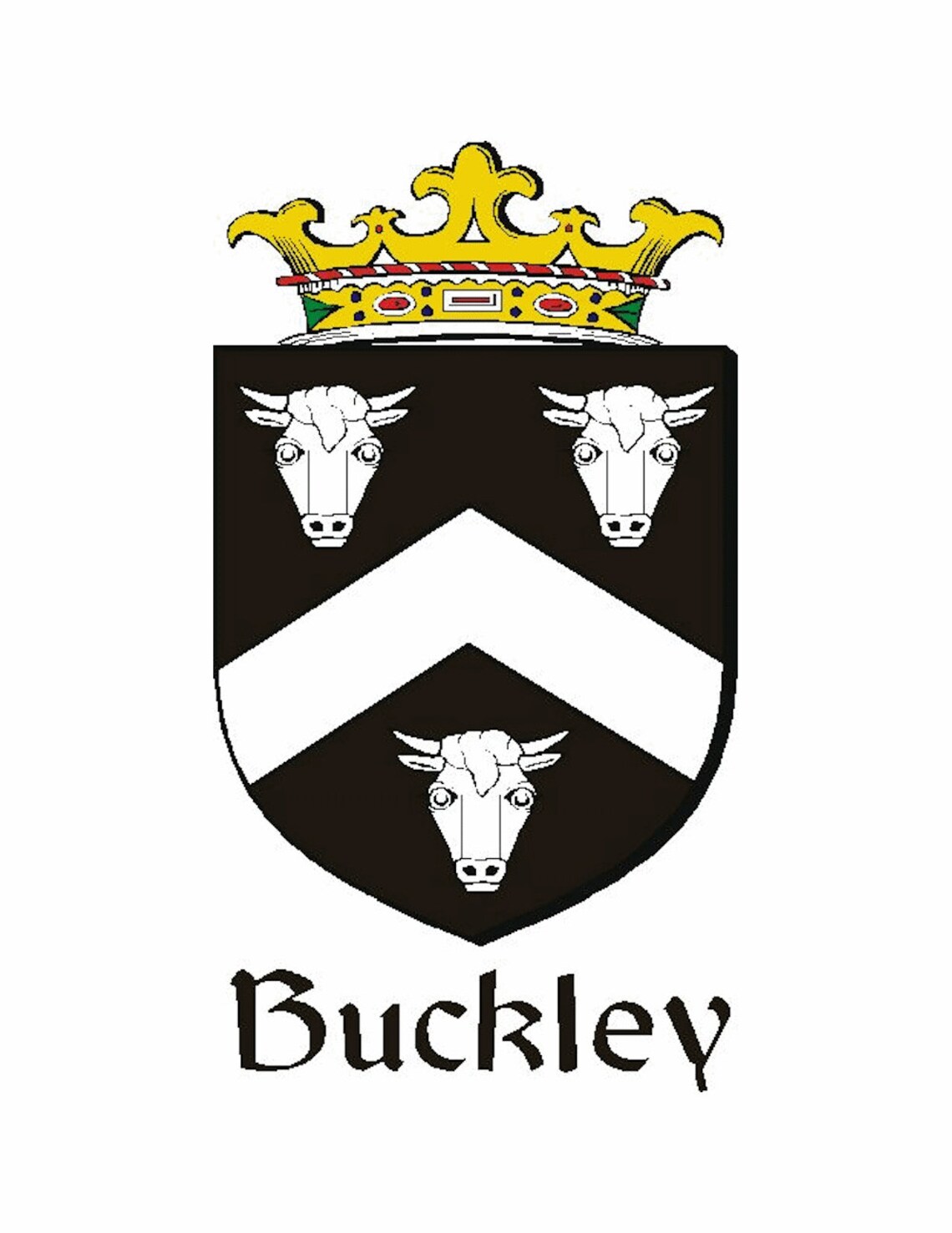 Buckley Irish Coat of Arms Gents Ring IC100 - Etsy