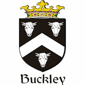 Buckley Irish Coat of Arms Gents Ring IC100 - Etsy