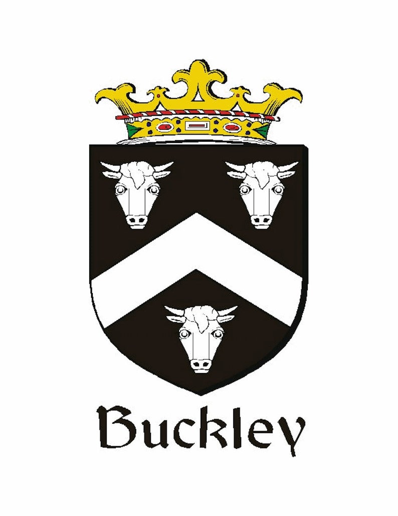 Buckley Irish Coat of Arms Gents Ring IC100 - Etsy