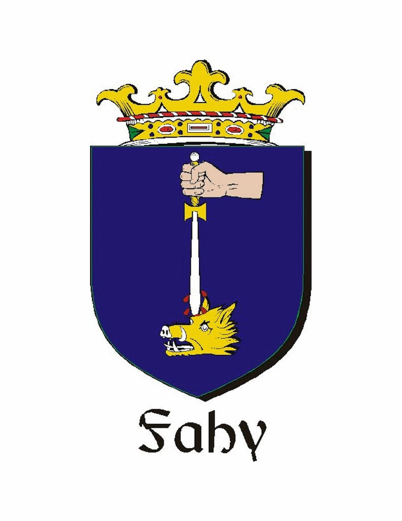 Fahy Irish Coat of Arms Gents Ring IC100 - Etsy