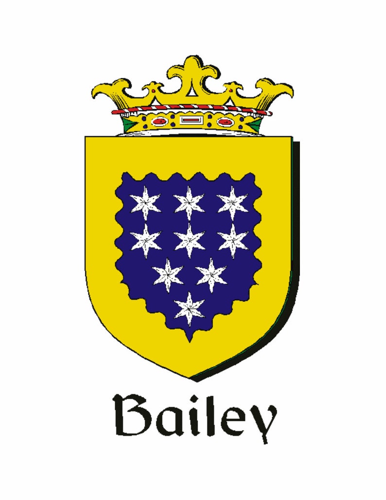 Bailey Irish Coat of Arms Sporran, Genuine Leather - Etsy