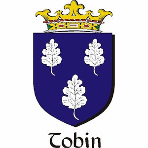 Tobin Irish Coat of Arms Interlace Kilt Buckle - Etsy