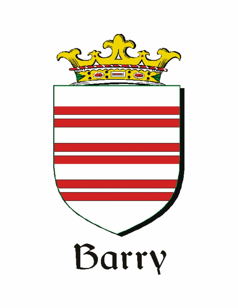 Barry Irish Coat of Arms Badge Glass Beer Mug - Etsy