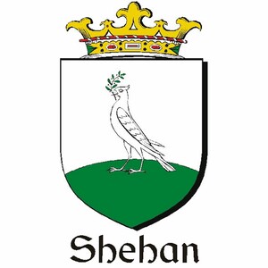 Sheehan Irish Coat of Arms Disk Kilt Pin - Etsy