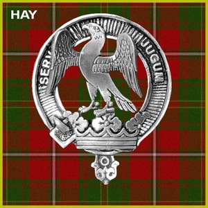 Hay Clan Crest Regular Buckle - Etsy