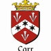 Carr Irish Coat of Arms Gents Ring IC100 - Etsy