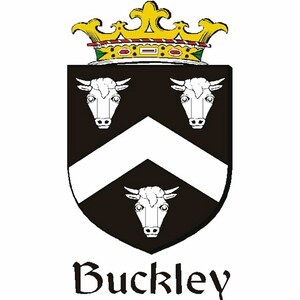 Buckley Irish Coat of Arms Interlace Kilt Buckle - Etsy