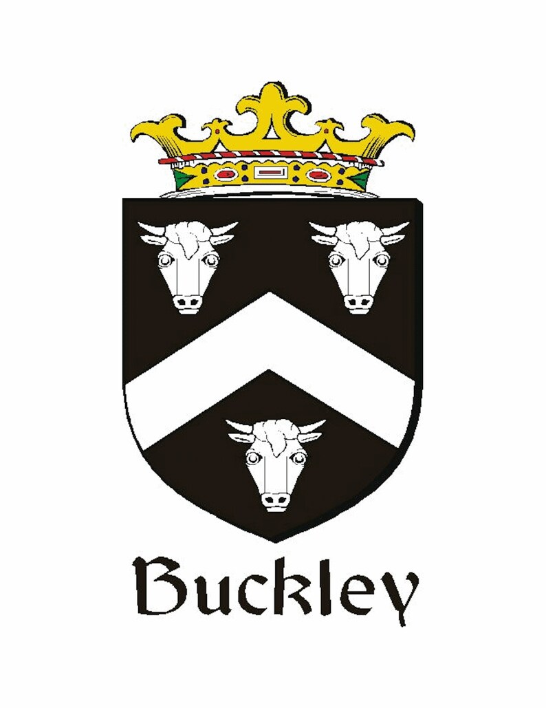 Buckley Irish Coat of Arms Interlace Kilt Buckle - Etsy