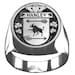 Hanley Irish Coat of Arms Gents Ring IC100 - Etsy