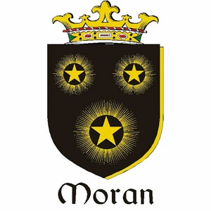 Moran Irish Coat of Arms Badge Stainless Steel Tankard - Etsy