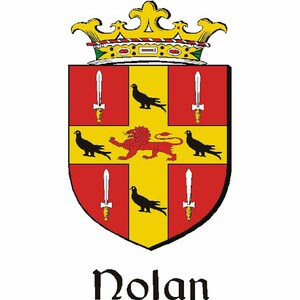 Nolan Irish Coat of Arms Celtic Interlace Disk Pendant ~ IP06 - Etsy