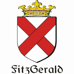 Fitzgerald Irish Family History - Etsy