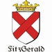 Fitzgerald Irish Family History - Etsy