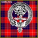Hamilton Clan Crest Scottish Cap Badge CB02 - Etsy
