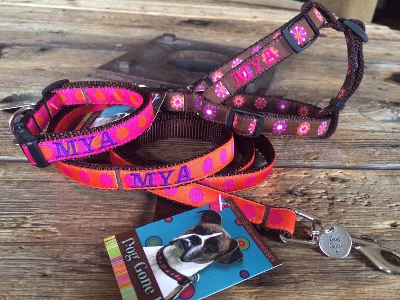 5/8 Width Personalized Lead Dog Leash Dog Lead Custom | Etsy