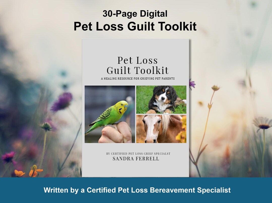 Pet Loss Guilt Toolkit (digital Booklet) - Etsy