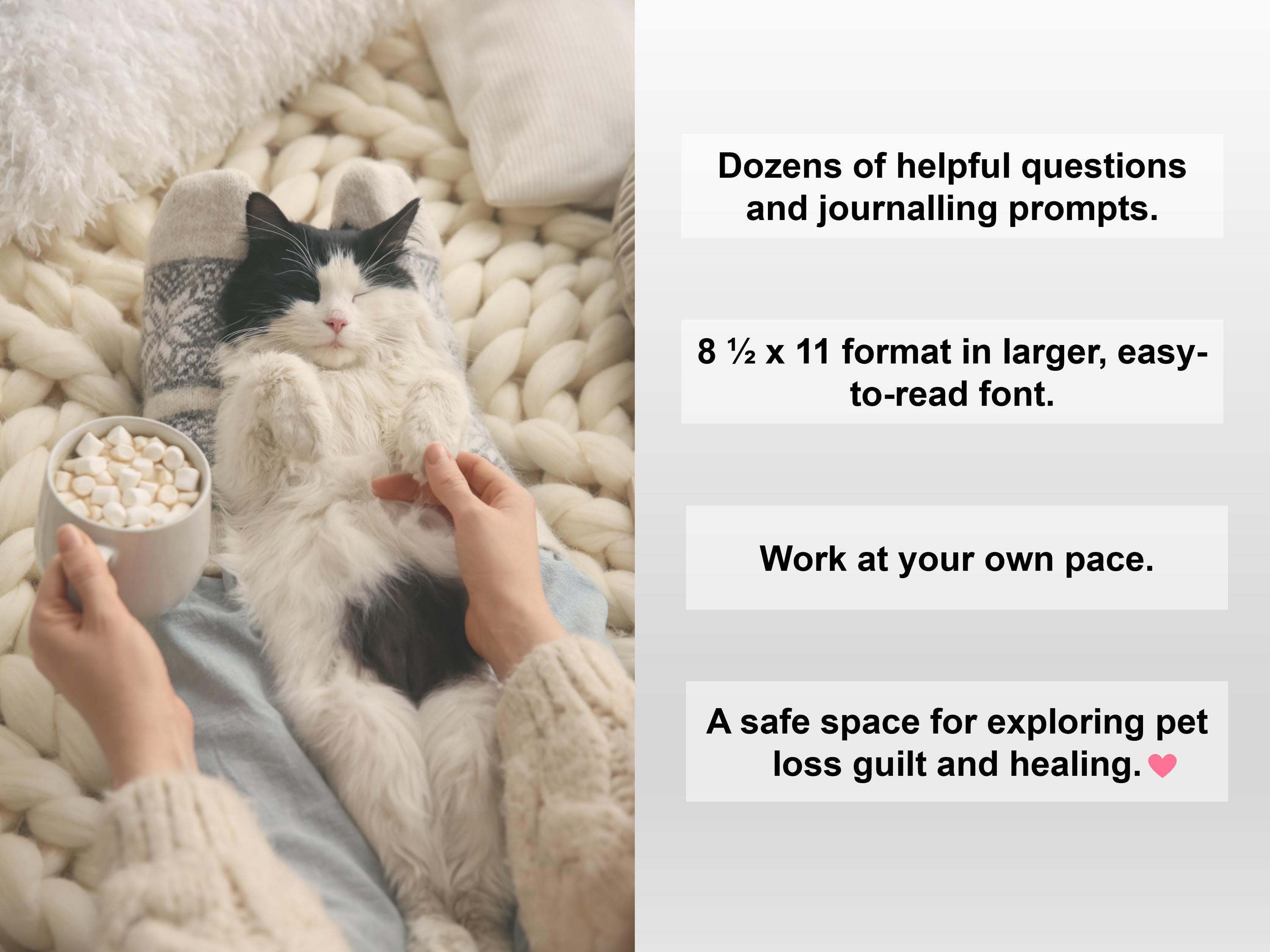 Pet Loss Guilt Toolkit (digital Booklet) - Etsy