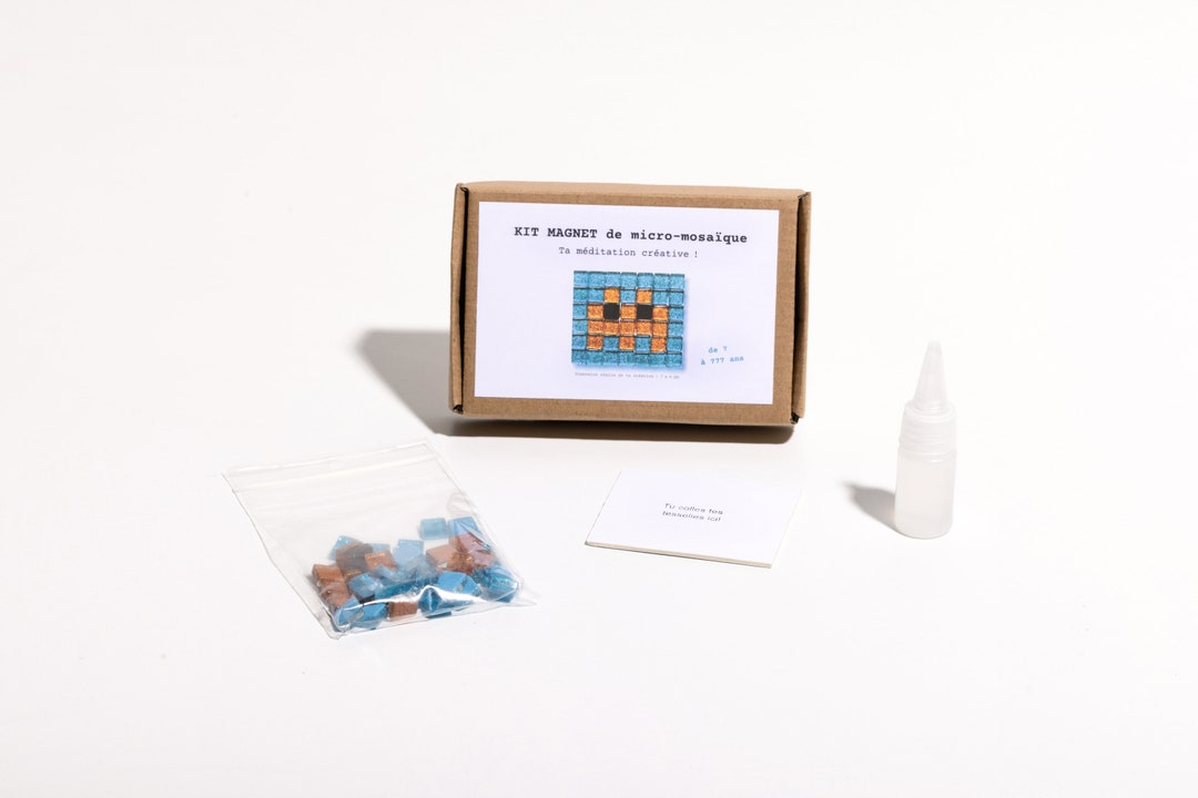 DIY Magnet Pixel Art Mosaic Kit MINI INVADER - Etsy Canada