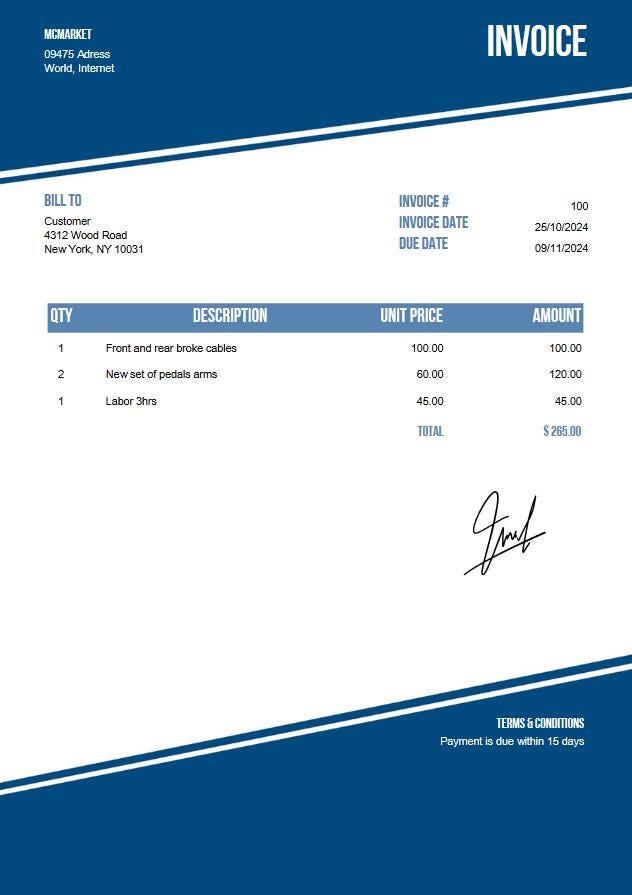 Customizable PDF Invoice Template | Professional & Print-ready Invoice ...