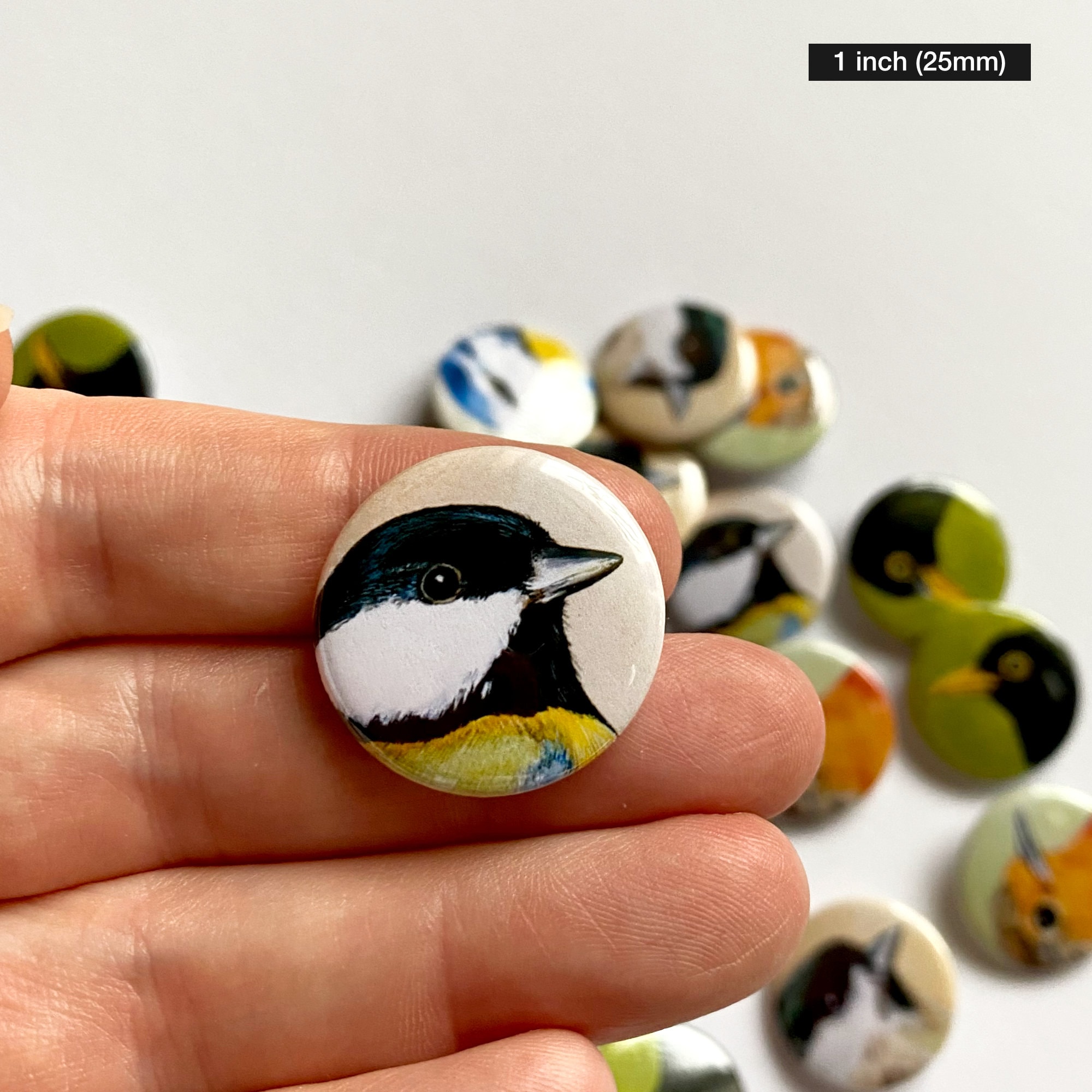 Garden Bird Badges: UK Bird Illustration Pins, 25mm - Etsy