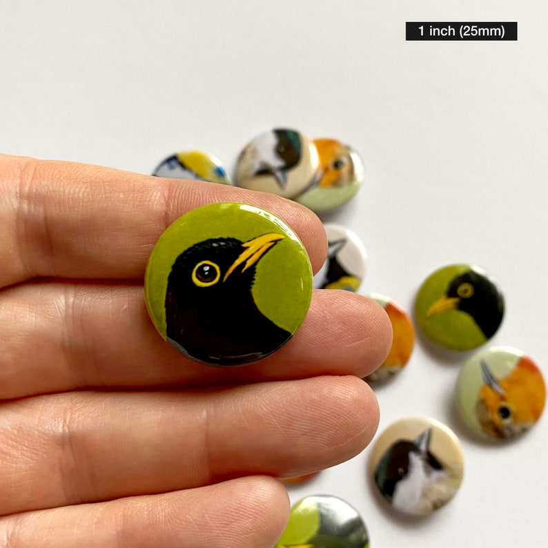 Garden Bird Badges: UK Bird Illustration Pins, 25mm - Etsy