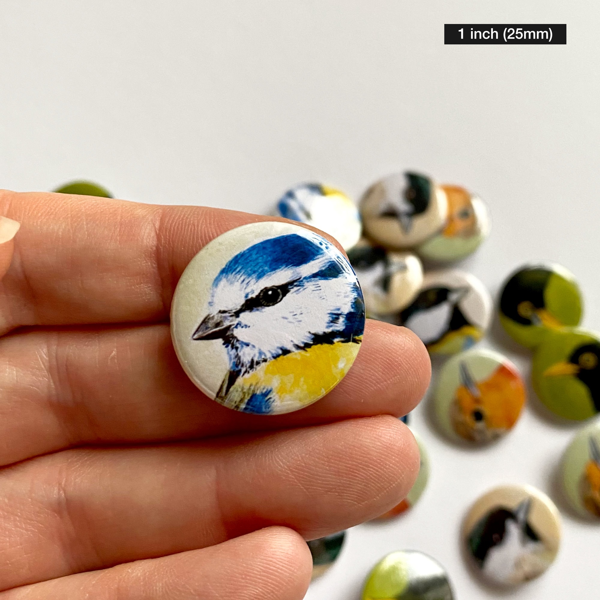 Garden Bird Badges: UK Bird Illustration Pins, 25mm - Etsy