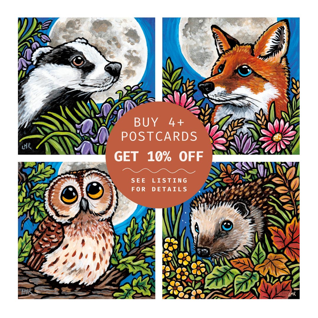 British Wildlife at Night Postcards | Badger Owl Fox Hedgehog | Choose ...