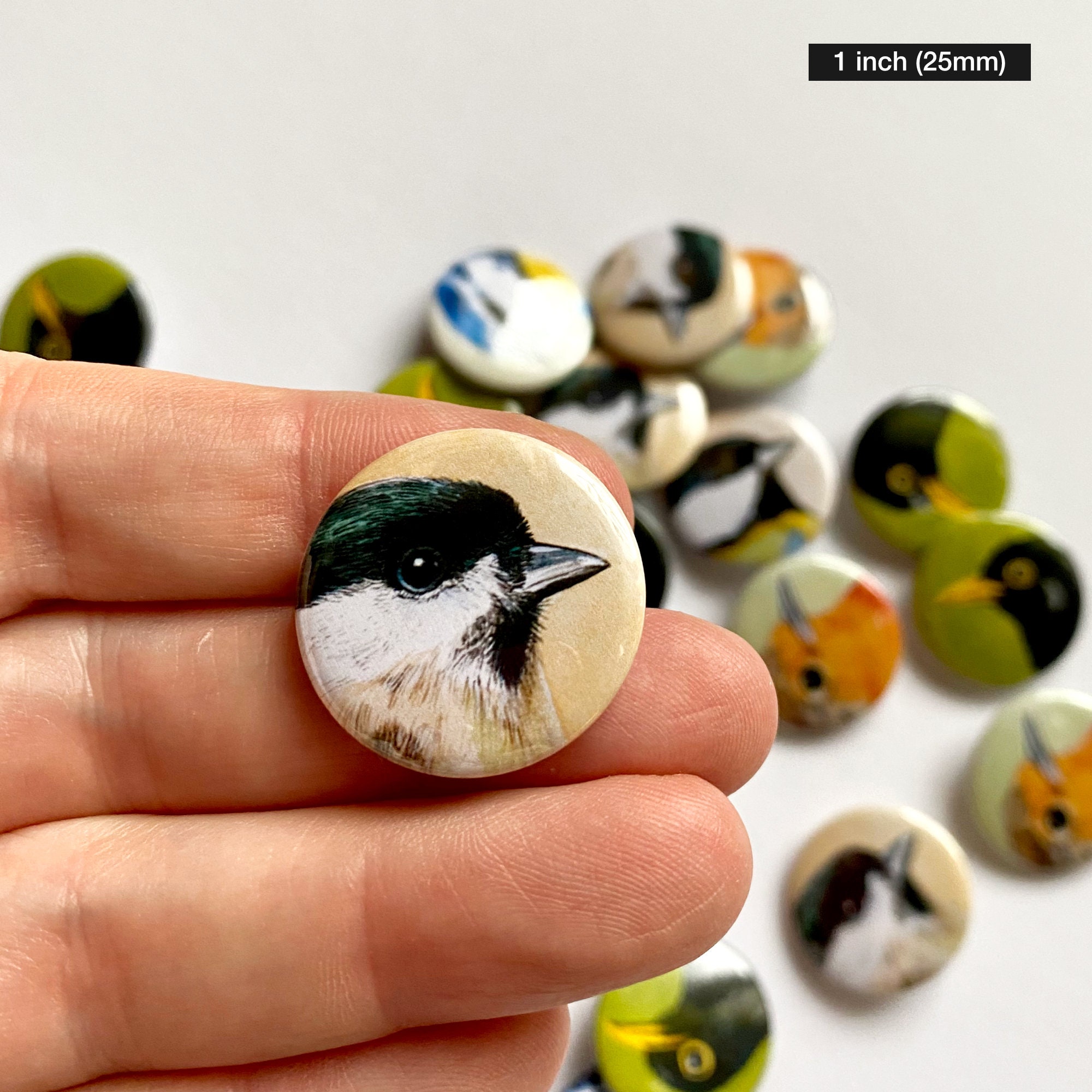 Garden Bird Badges: UK Bird Illustration Pins, 25mm - Etsy
