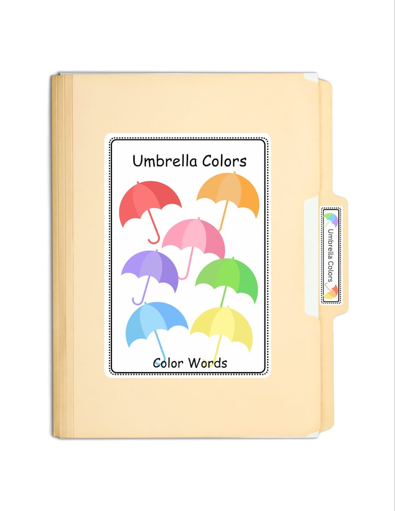 Color Words File Folder Game: Preschool Learning (digital Download) - Etsy