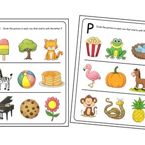 Letter P Preschool Activity Packet: Fun Learning Worksheets (digital ...