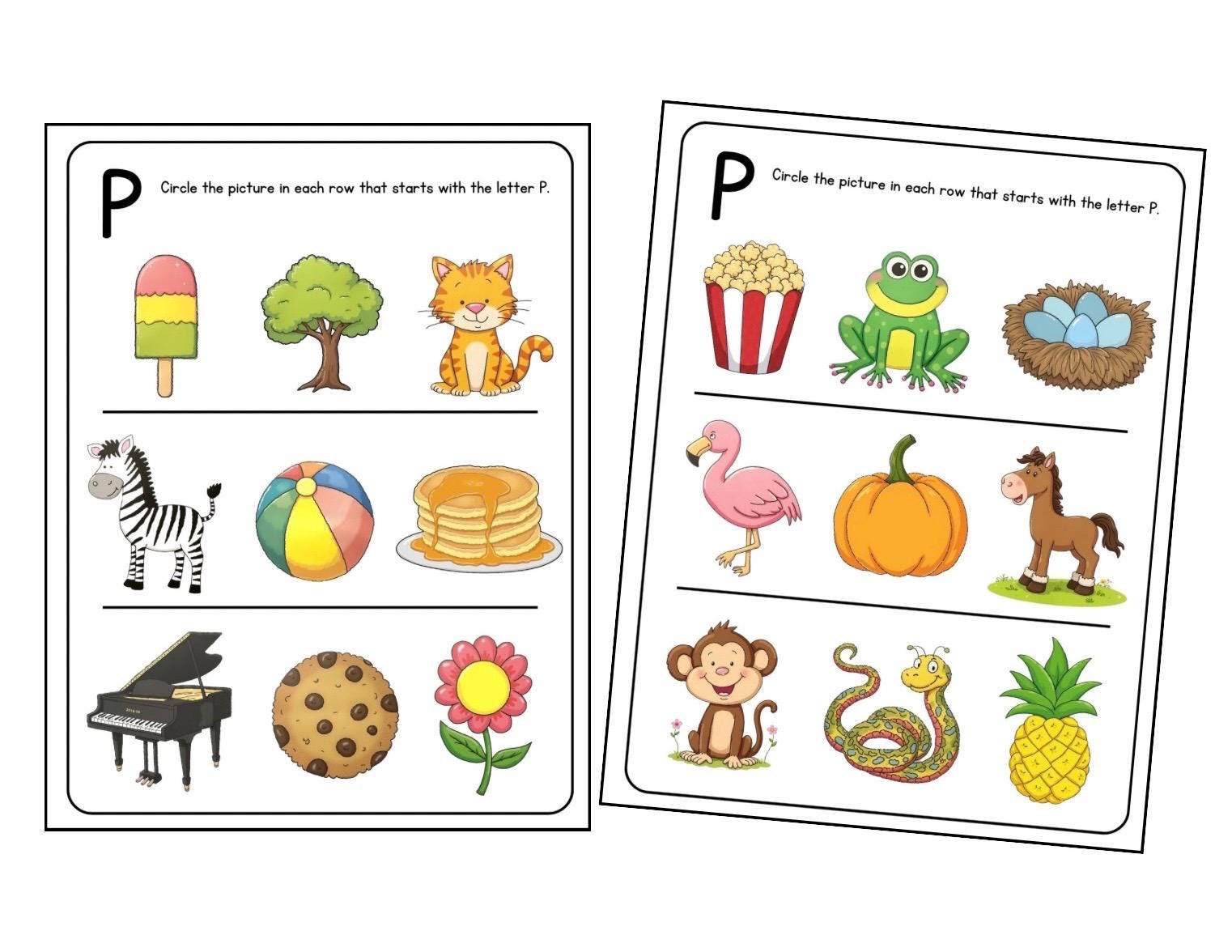 Letter P Preschool Activity Packet: Fun Learning Worksheets (digital ...